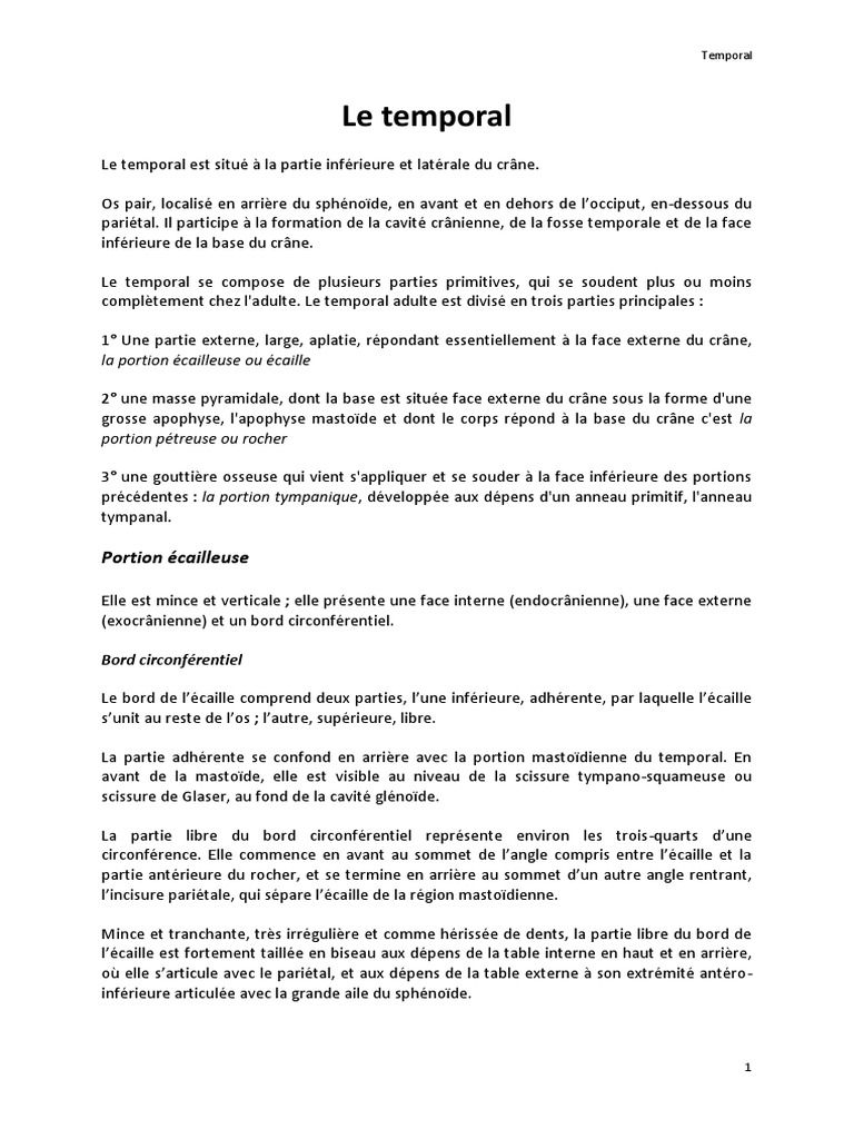 Anatomie de l'os temporal | PDF | Tête et cou chez l'humain | Anatomie
