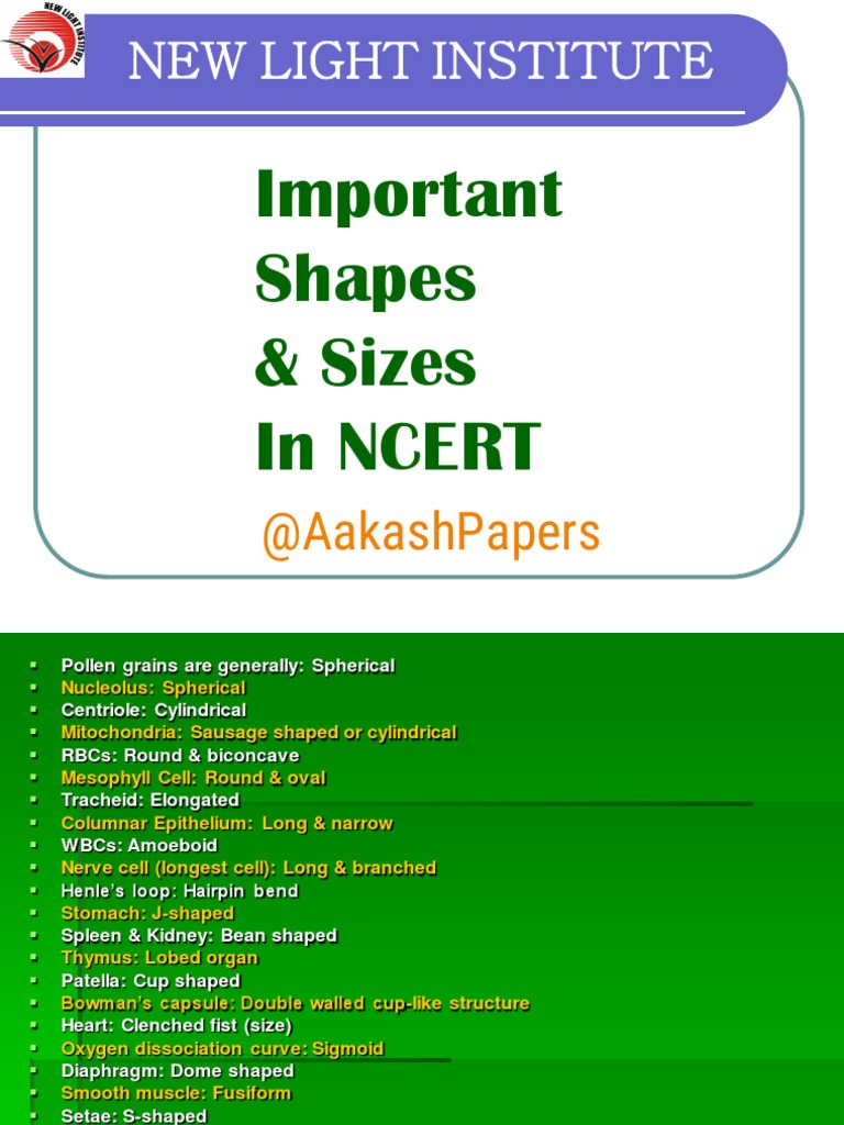 Imp Shapes & Sizes in NCERT | PDF