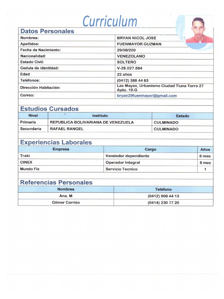 Curriculum Bryan | PDF