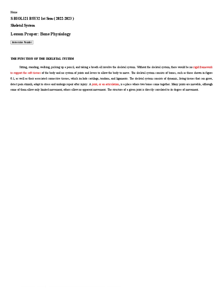 Bone Anatomy | PDF | Bone | Skeleton