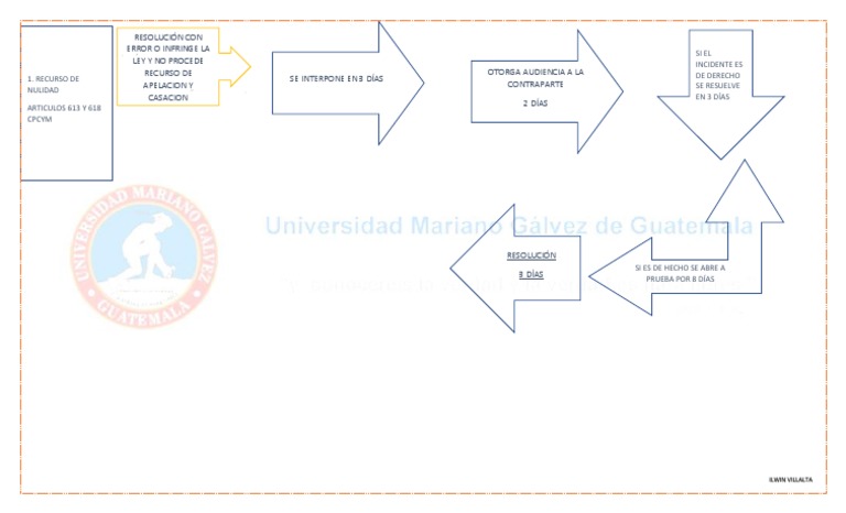 Esquema de La Nulidad | PDF