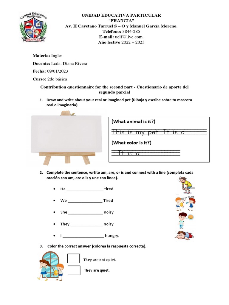 English class contribution questionnaire | PDF
