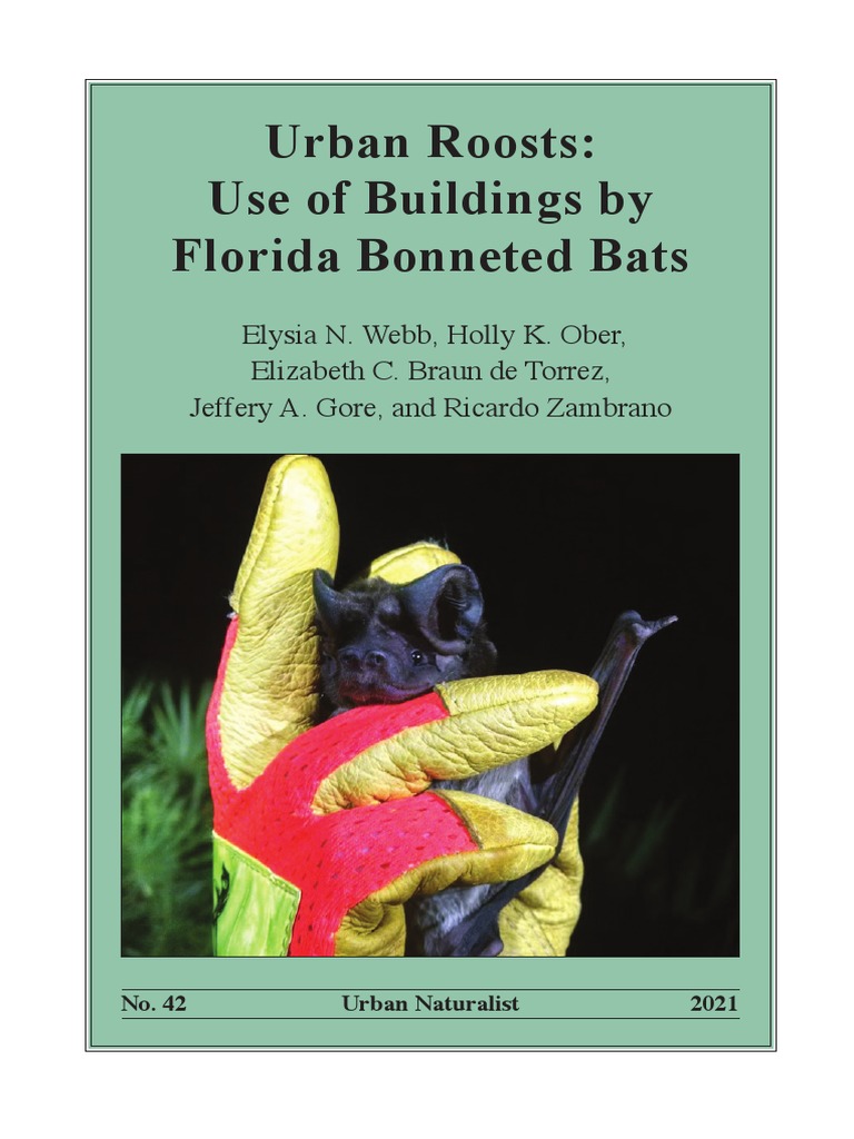 Urban Roost Use Of Buildings By Florida Bonneted Bats Pdf Bat