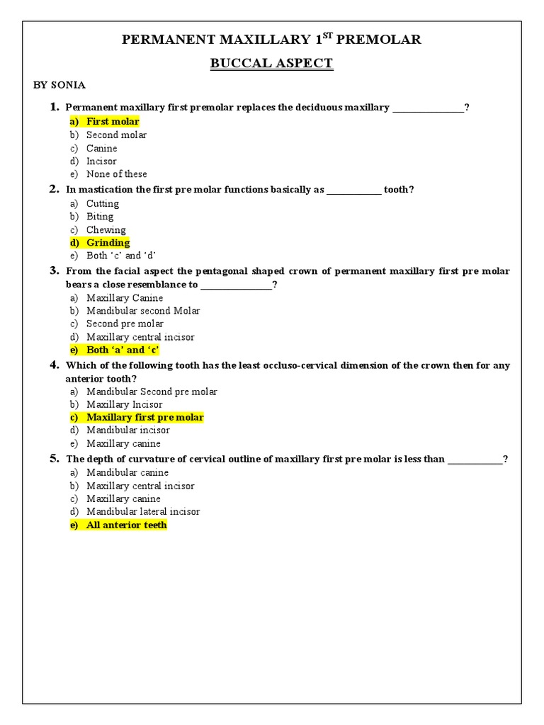 Maxillary 1st Premolar Anatomy Guide | PDF | Dental Anatomy | Dentistry