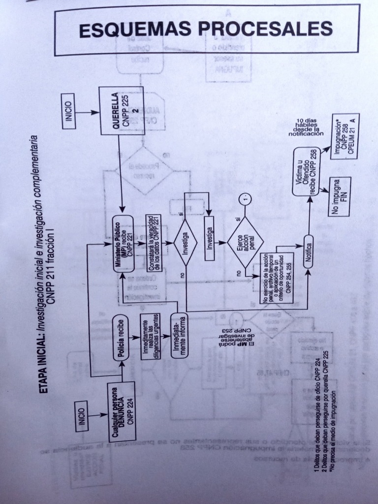 Esquemas Procesales | PDF | Procedimiento legal | Crímenes