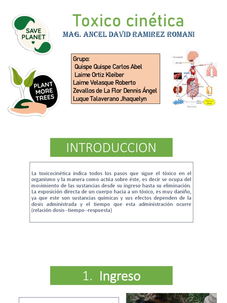 Toxicocinetica - BIOTRANSFORMACIÓN (39 | PDF | Biotransformación | Redox