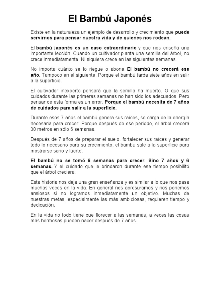 El Bambu Japones | PDF