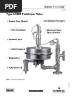 ACE95 Tank Blanketing Valve Manual | PDF | Valve | Pipe (Fluid Conveyance)
