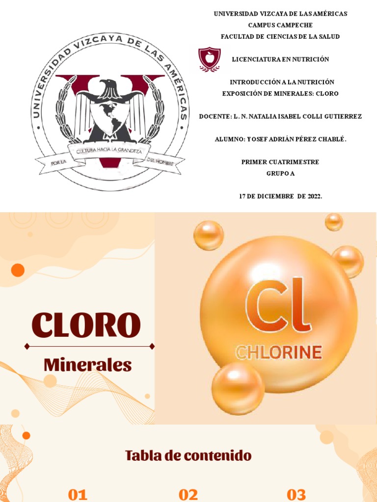 Exposición de Vitaminas y Minerales - Cloro | PDF | Nutrición | Dieta y nutrición