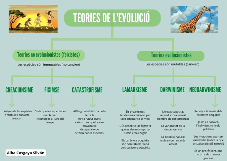 Esquema Sobre Les Teories de L'evolució | PDF