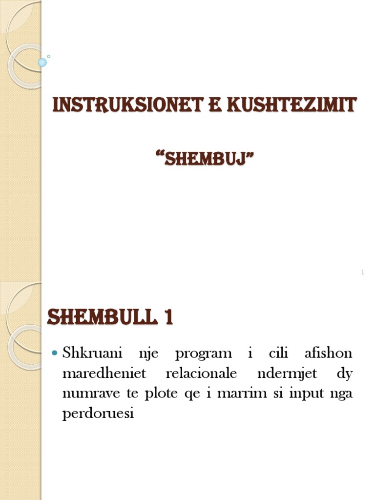 Leksion 4 - Instruksionet e Kushtezimit (Shembuj) | PDF
