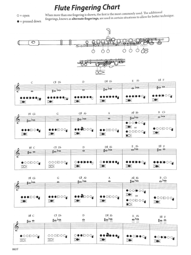 Flute Fingering Chart | PDF