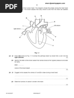 AQA Circulatory System Past Paper Questions | PDF | Heart | Blood