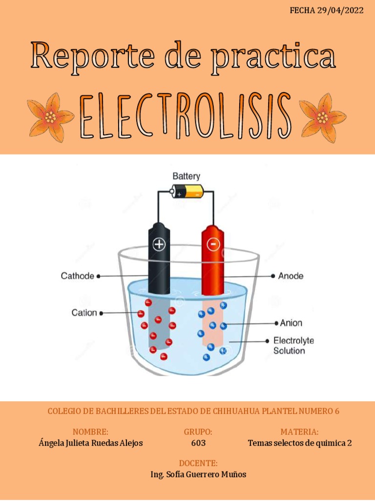 Pratica de Laboratorio Electrolisis | PDF | Cobre | Redox