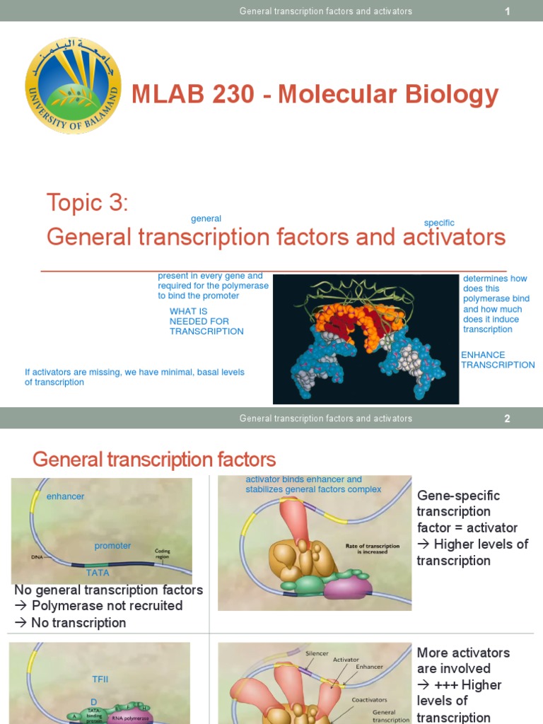 General Transcription Factors and Activators | PDF | Promoter (Genetics ...