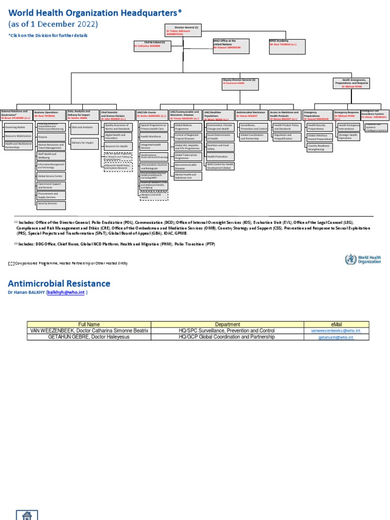 WHO Organizational Structure Overview | PDF | World Health Organization ...