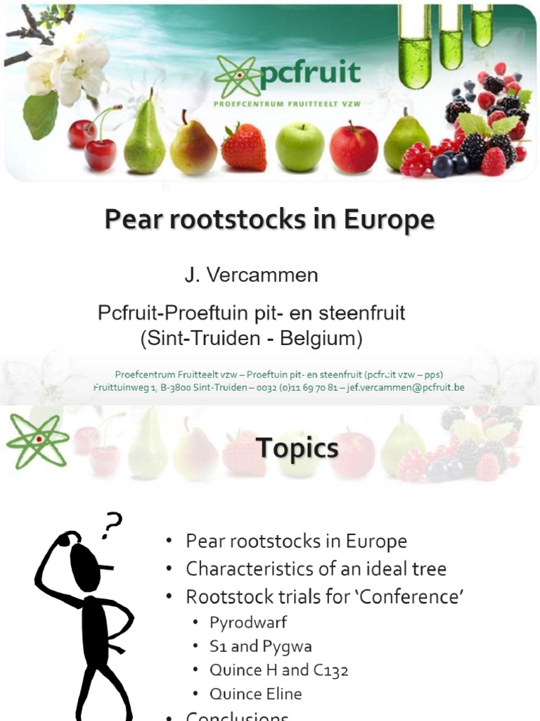 Pear Rootstocks in Europe - PDF | PDF