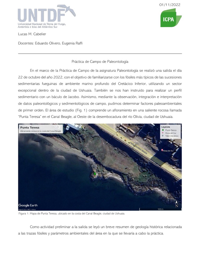 PC Paleontología CABELIER - DEVOLUCION - CORREGIDO | PDF | Paleontología | Geología