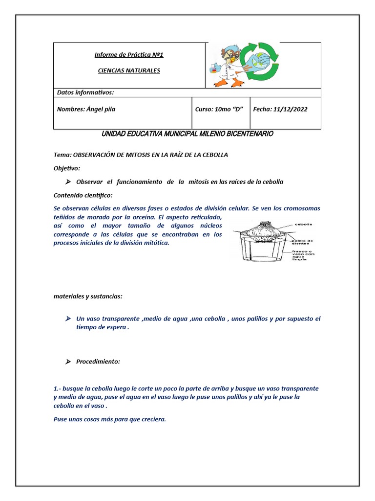 Informe CCNN | PDF | Mitosis | Biología Celular