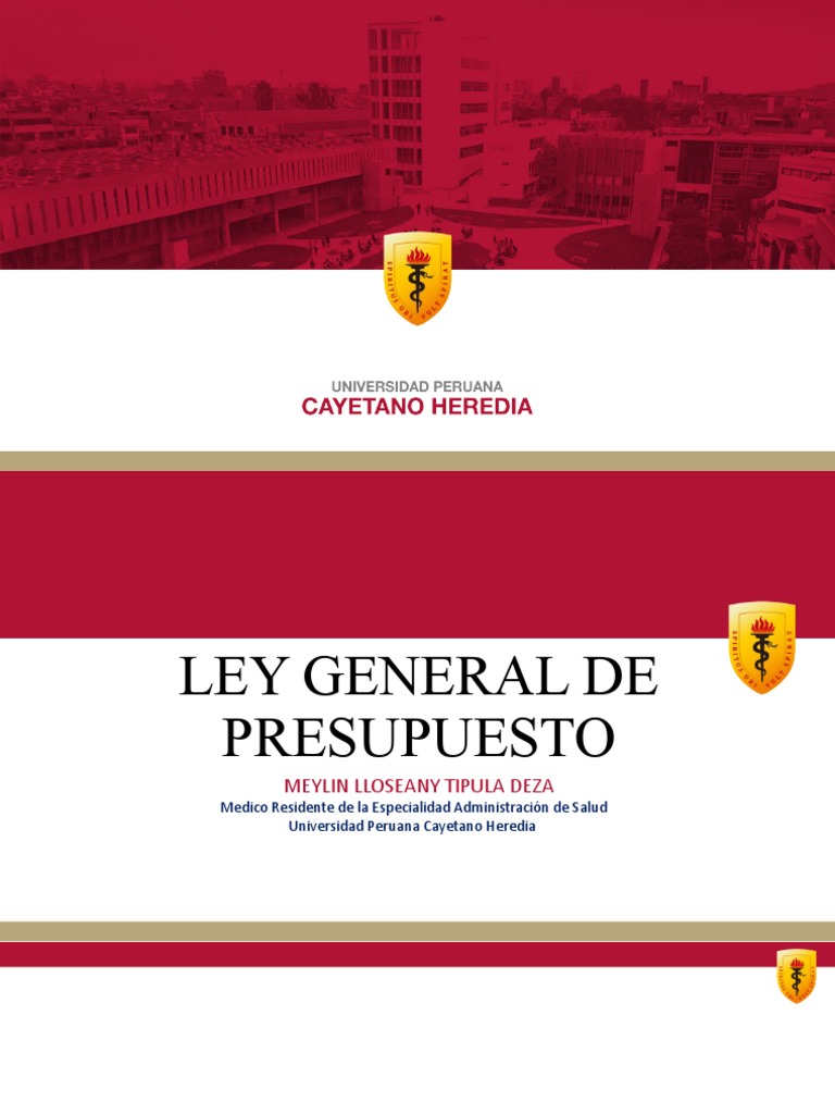 Proceso Presupuestario Del Sector Público En El Perú Formulación