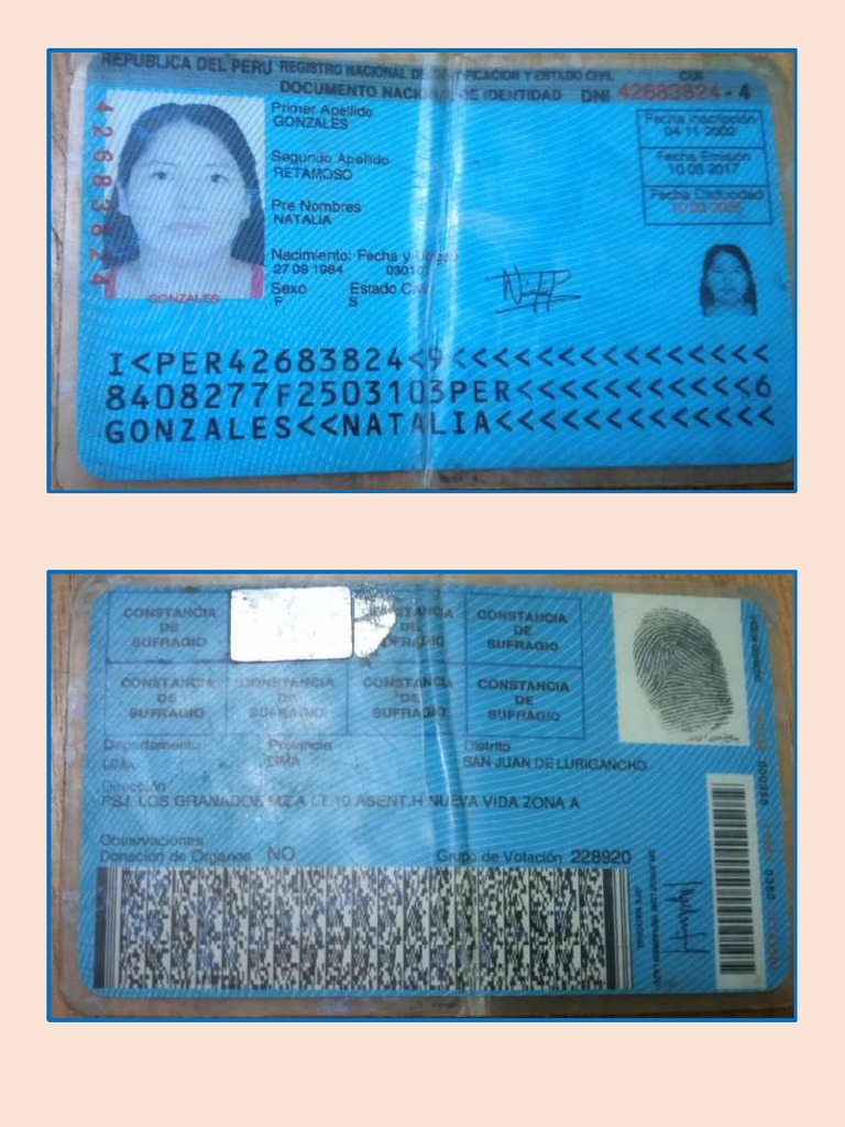 DNI de Mi Madre | PDF