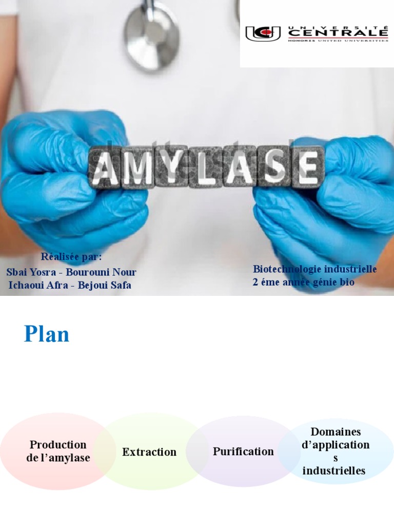 Amylase Présentation | PDF | Enzyme | Éthanol