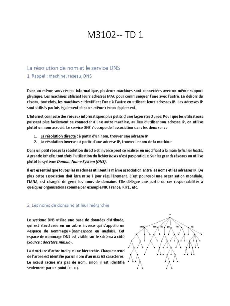 La Résolution de Nom Et Le Service DNS | PDF | Système de noms de ...