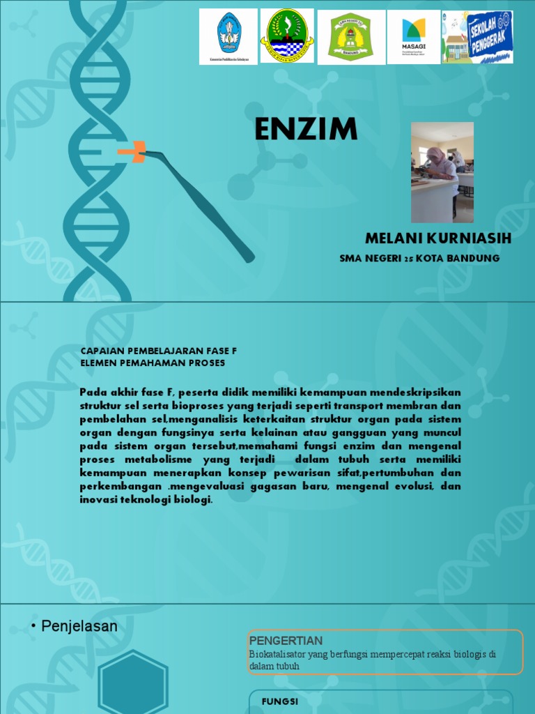 Enzim, PPT | PDF | Seni