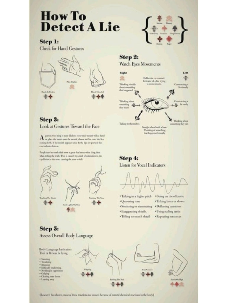 How To Detect A Lie | PDF