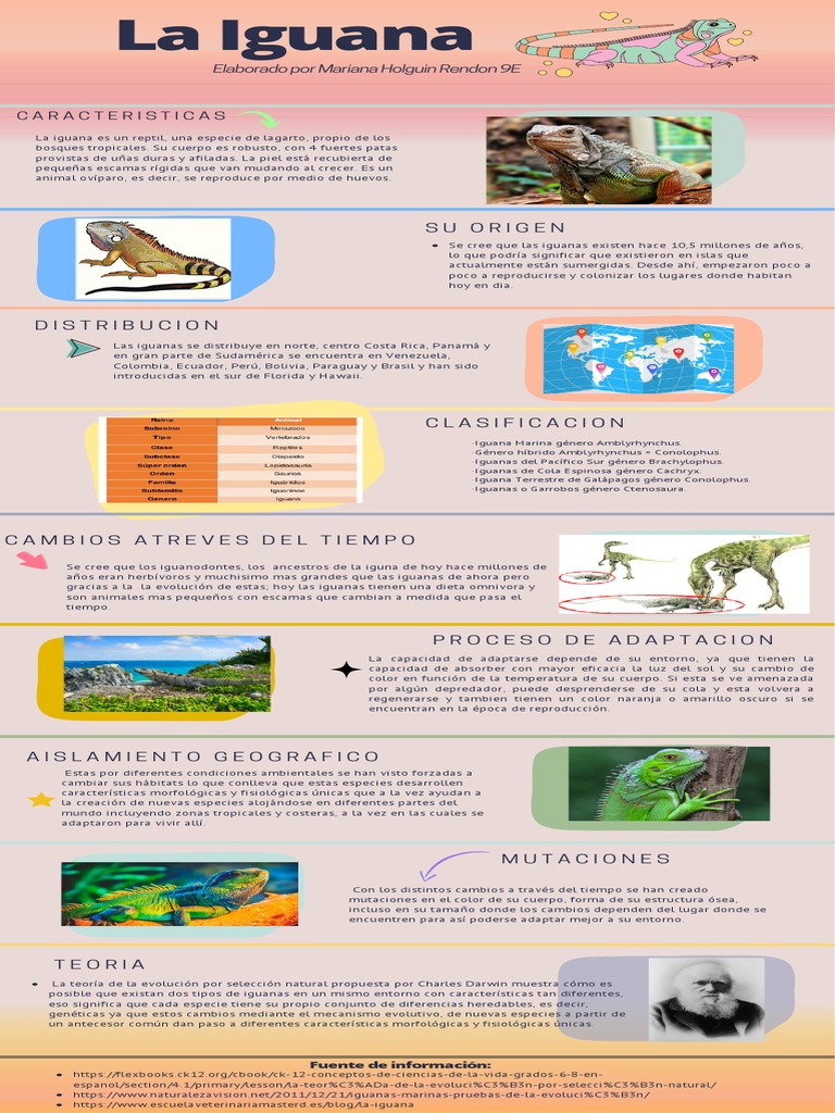 Infografia Iguanas Terminada | PDF | Evolución | Biología evolucionaria