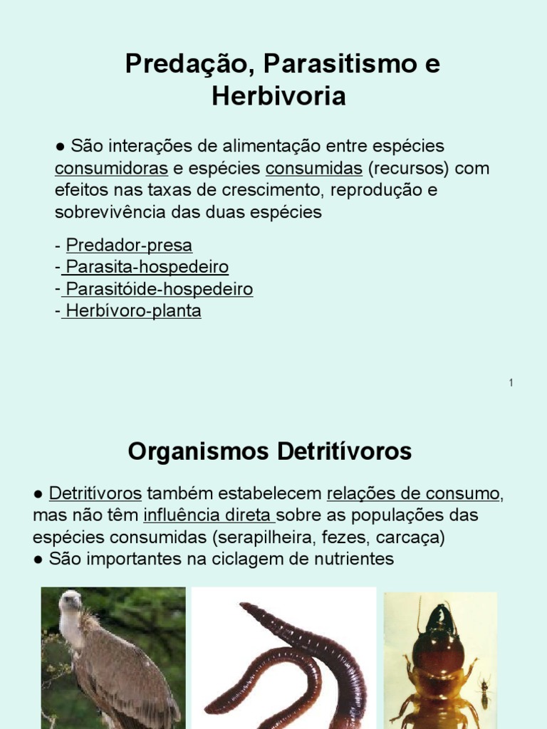 Aula 6 - Predação, Parasitismo e Herbivoria | PDF | Parasitismo | Mimetismo