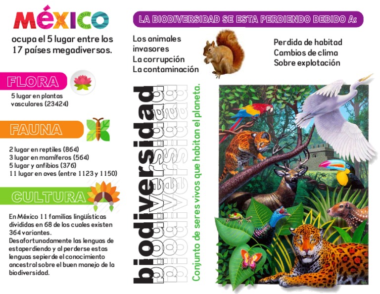 Biodiversidad Triptico | PDF