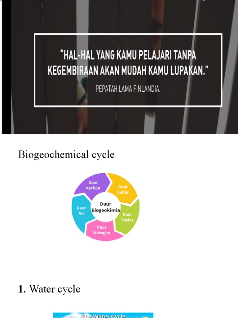 Daur Biogeokimia | PDF