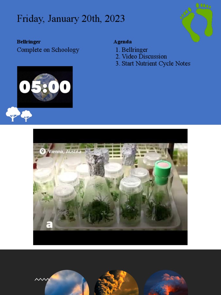 Nutrient Cycles and Energy Flow Overview | PDF | Ecosystem | Atmosphere ...