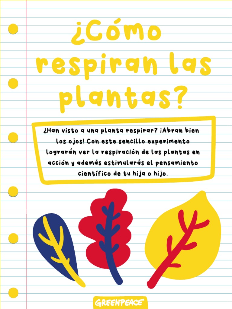 Experimento Cómo Respiran Las Plantas | PDF