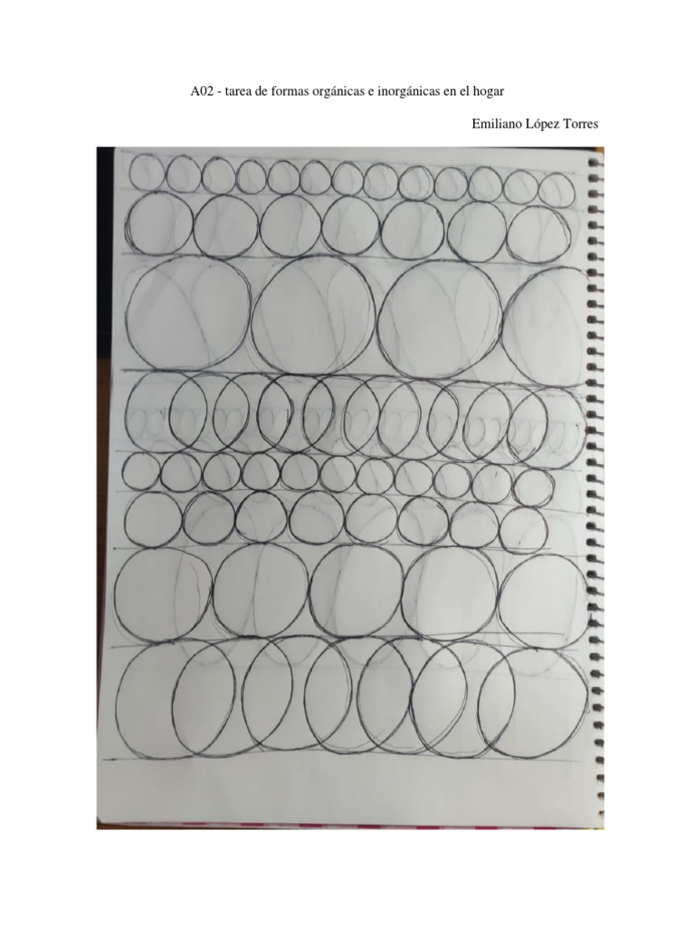 A02 - Tarea de Formas Orgánicas e Inorgánicas en El Hogar | PDF