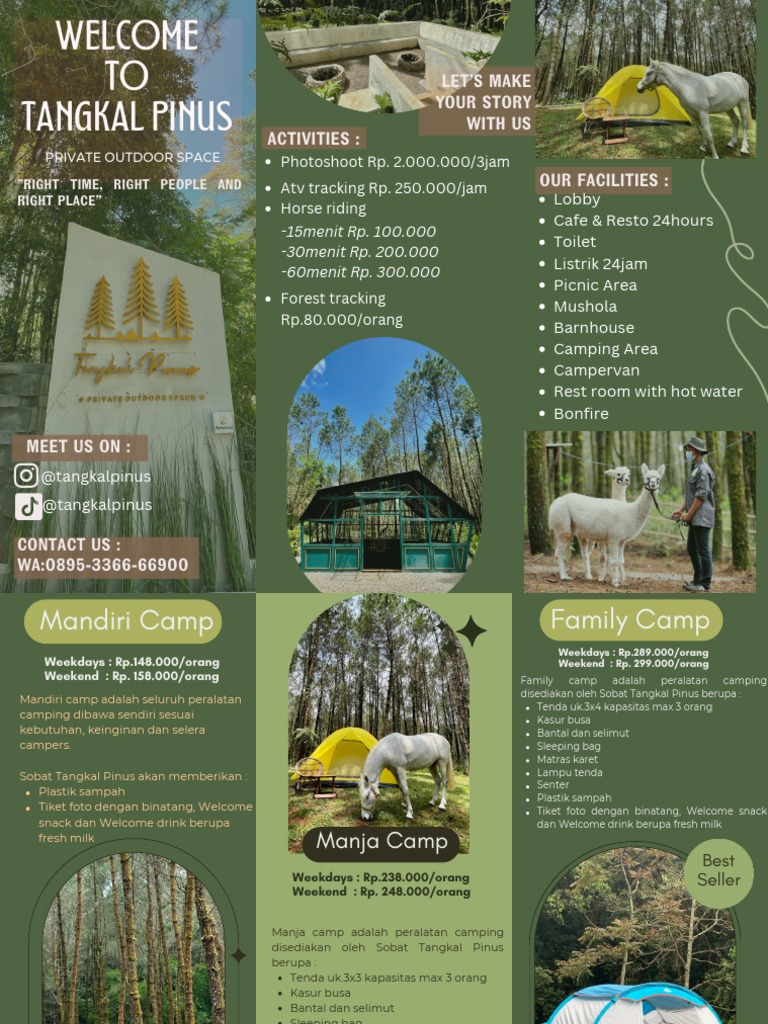 Brosur Tangkal Pinus | PDF