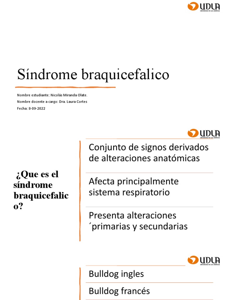 Sindrome Braqui PPT Clinica Menor | PDF | Buldog | Causas de la muerte