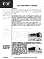 Road Runner Chicken Farming Guide | PDF | Chicken | Egg