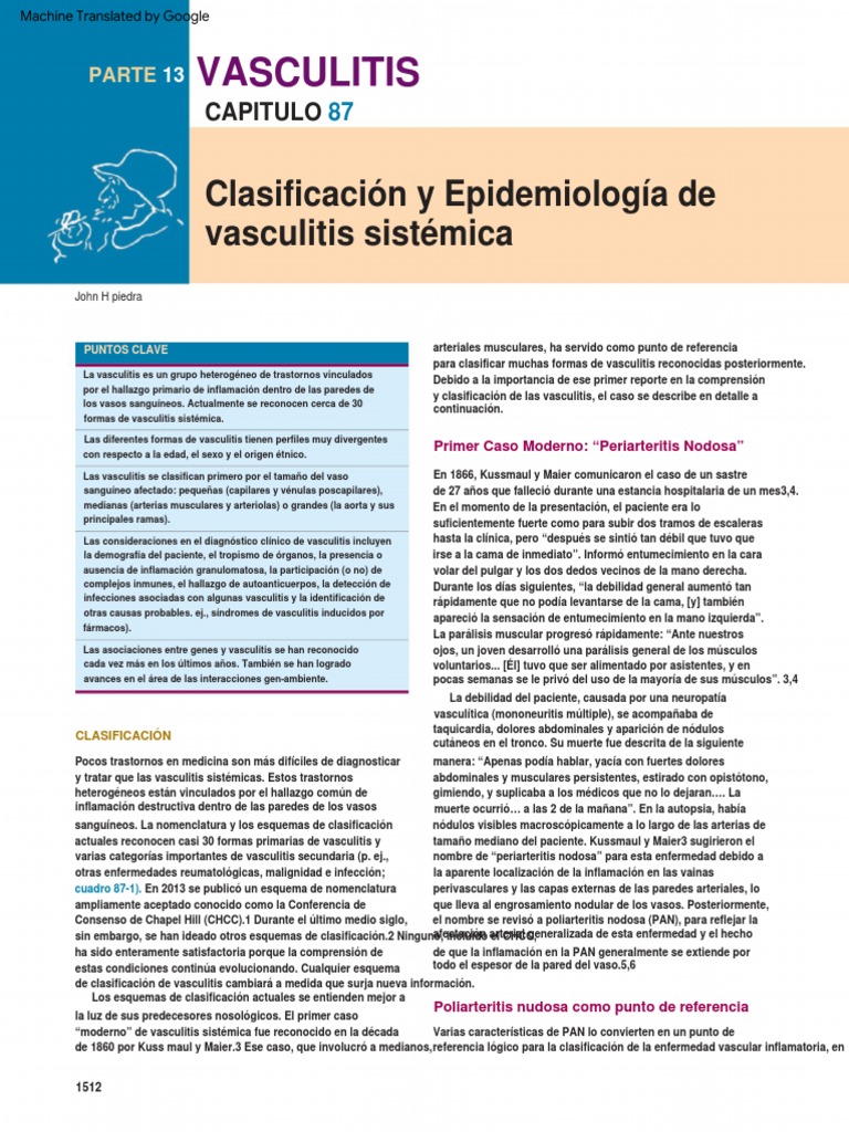 Vasculiti Capitulo 87 | PDF | Inflamación | Artería