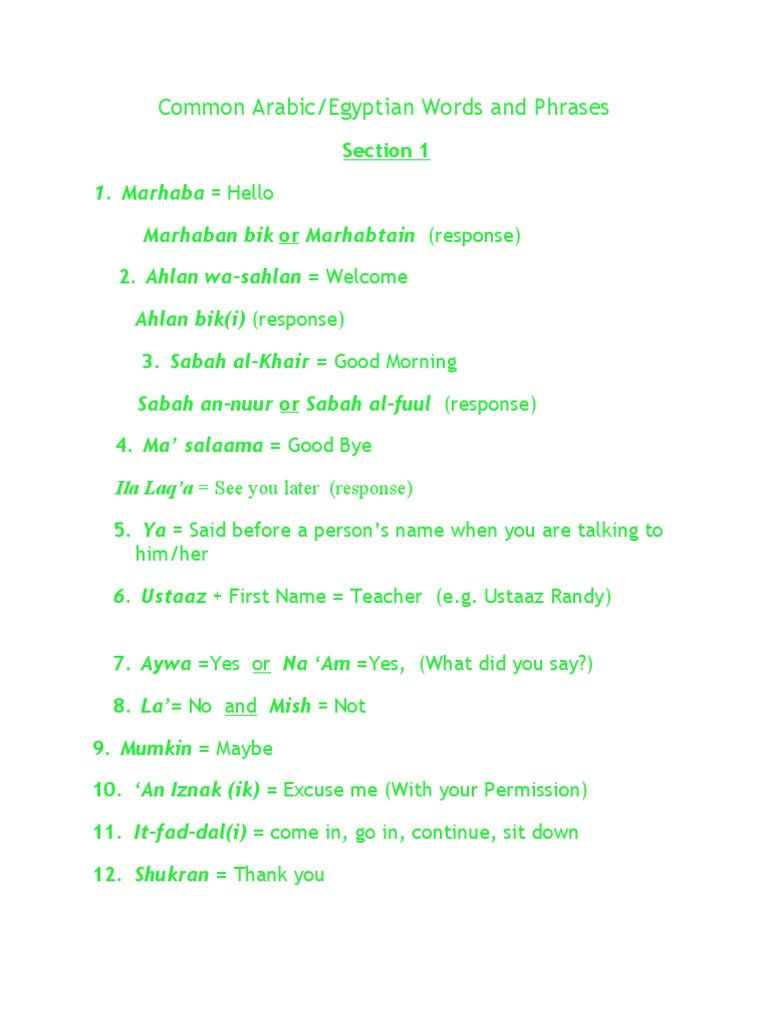 Common Arabic | PDF | Language Arts & Discipline