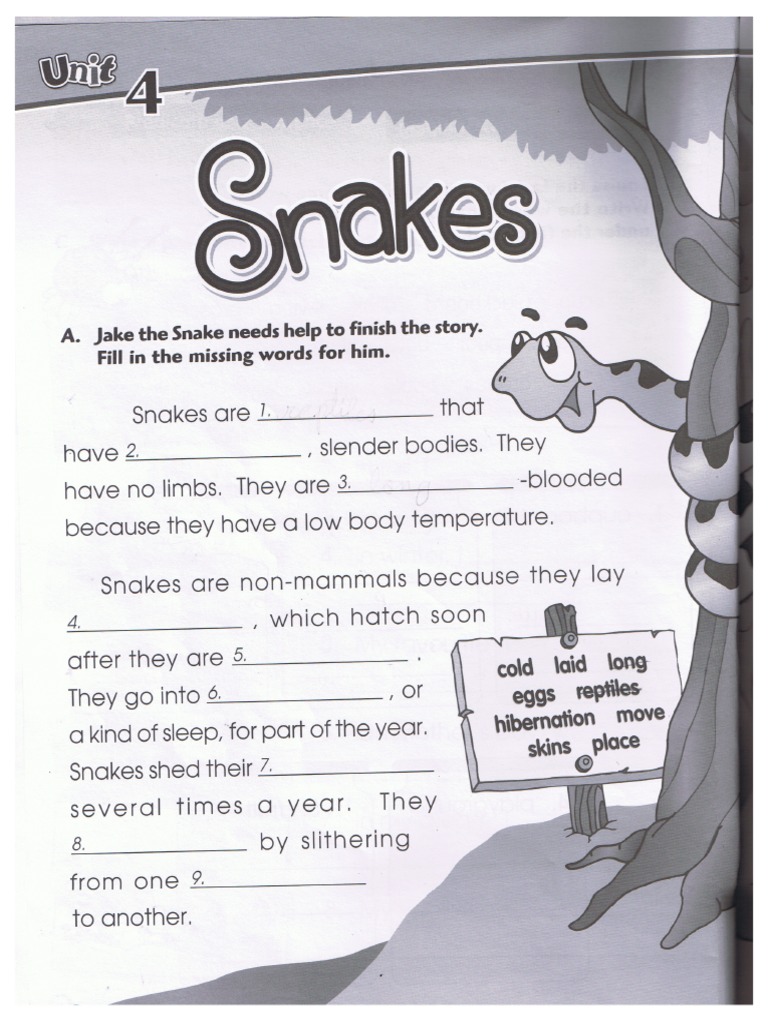 Grade 2 Reading and Vocabulary | PDF