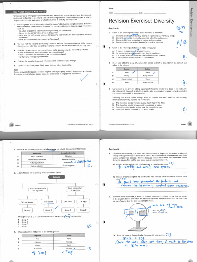 Workbook Pg. 59 - 64 | PDF