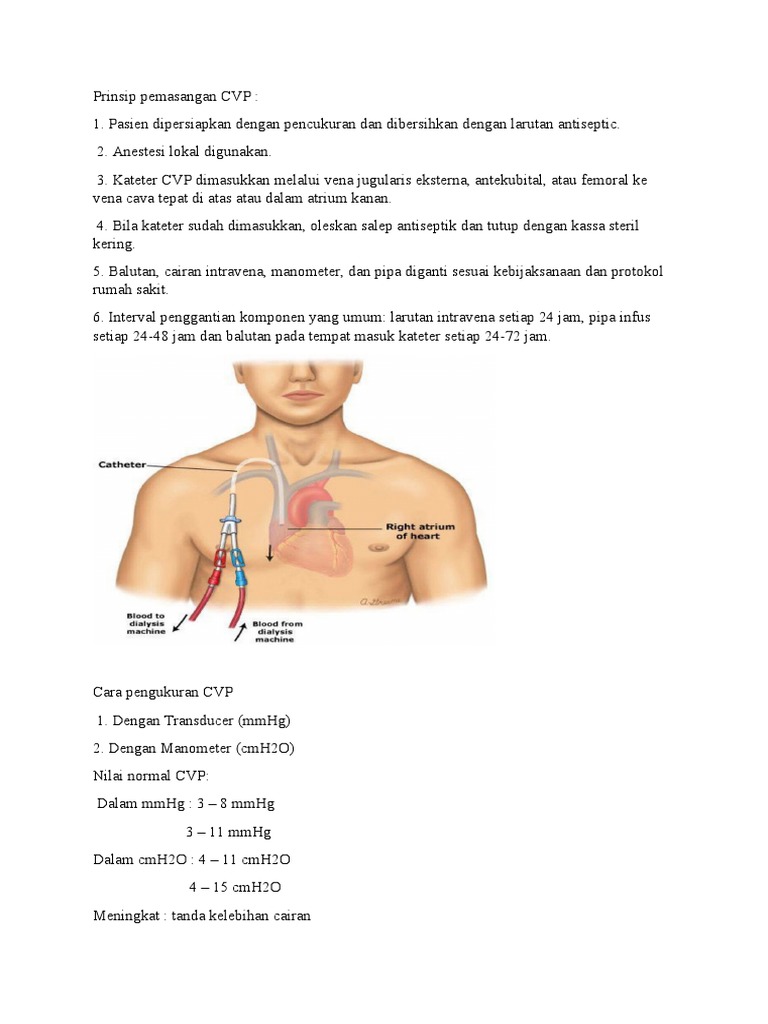 TEKNIK PEMASANGAN DAN PERANAN NERS DALAM PEMANTAUAN CVP | PDF