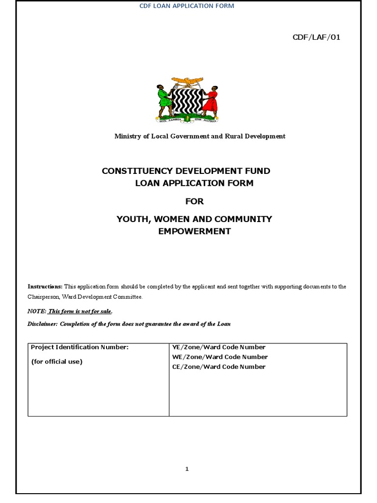 CDF Loan Application Form Guide | PDF | Loans | Economies