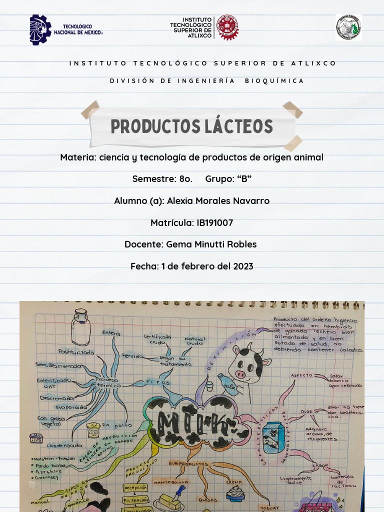 Mapa Mental de La Leche | PDF