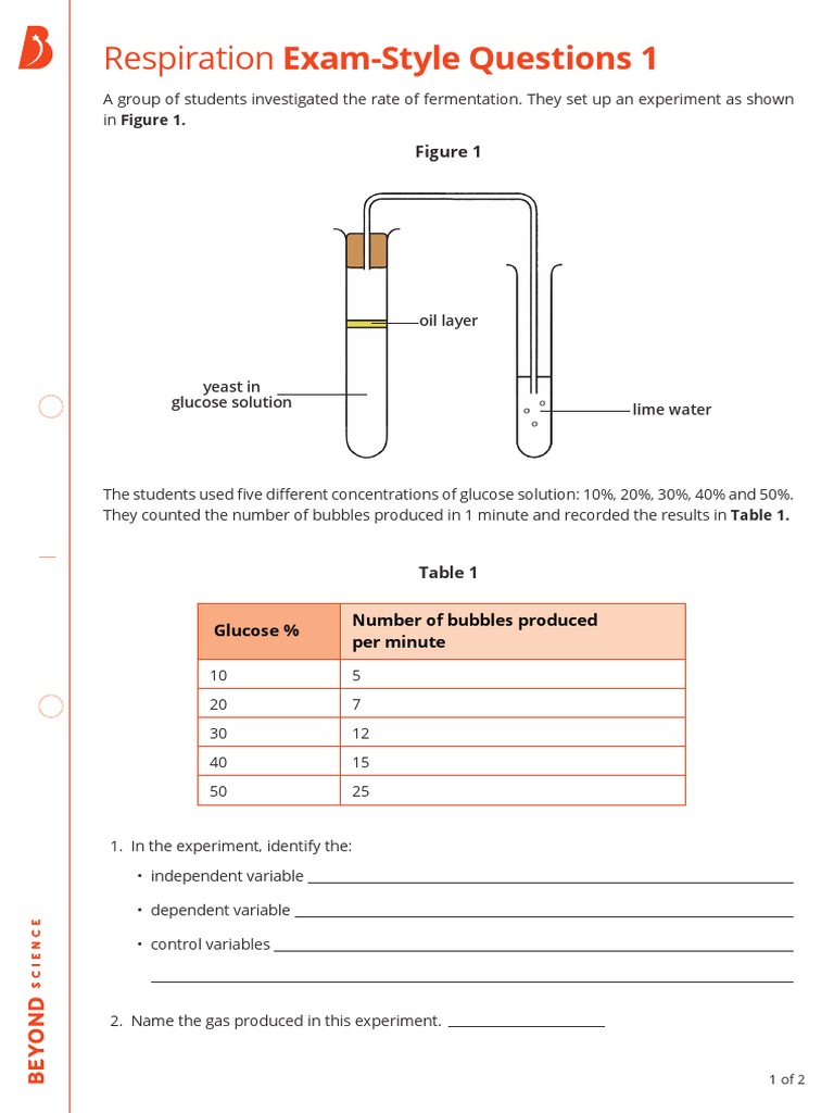 Respiration Exam-Style Questions 1 | PDF