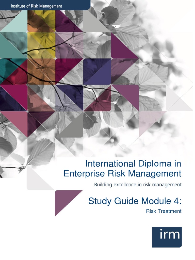 4 Risk Treatment | PDF | Risk | Risk Management