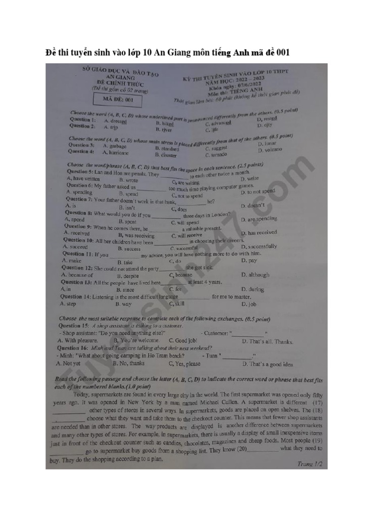 Đề thi tuyển sinh vào lớp 10 An Giang môn tiếng Anh-10 | PDF