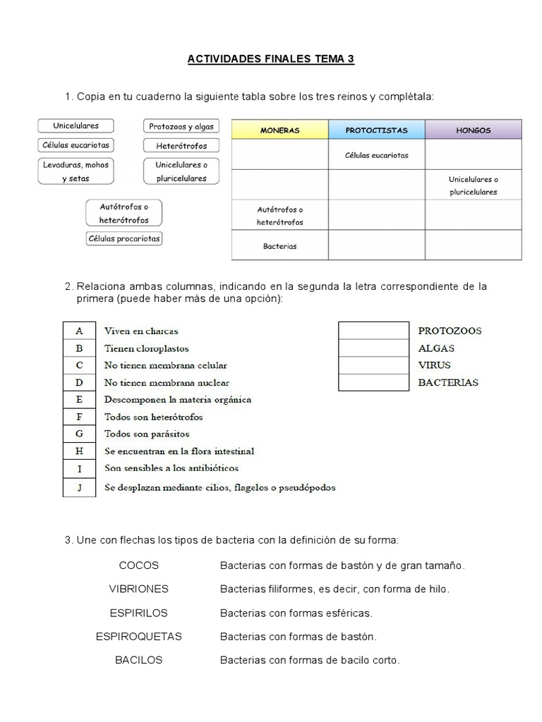 Actividades Finales | PDF